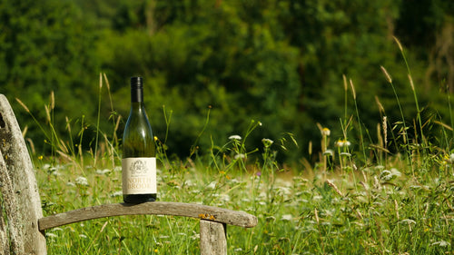 Our Story – Northbrook Vineyard